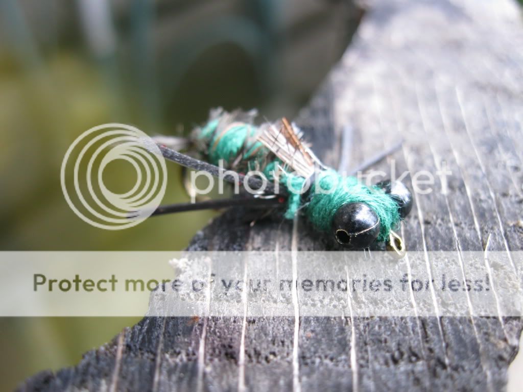 April 2011 Fly O' The Month - Dragonfly Nymph(/Gomphus) | BC Fly ...